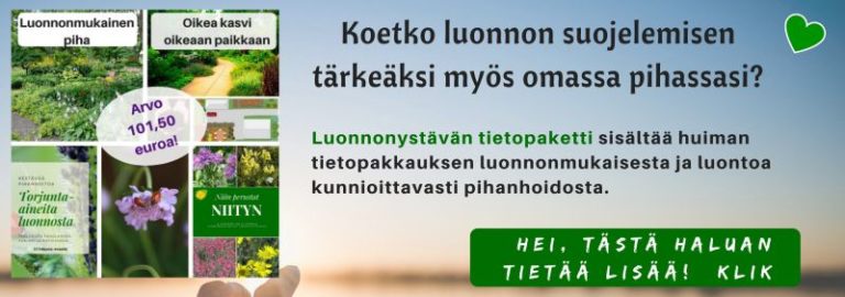Auta luontoa - niityn perustaminen on oikea ekoteko!